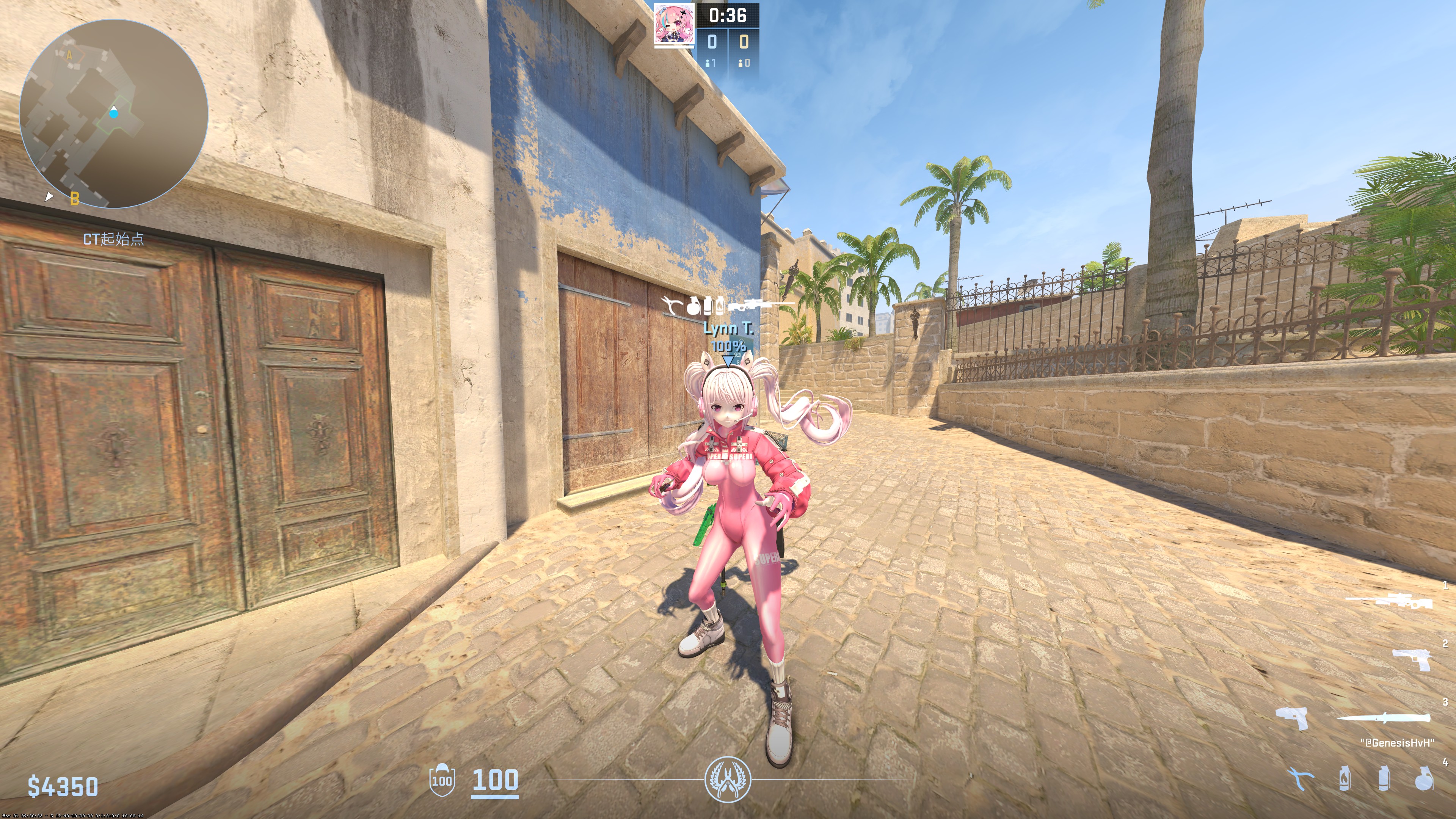 L0veL CS2 HVH Server